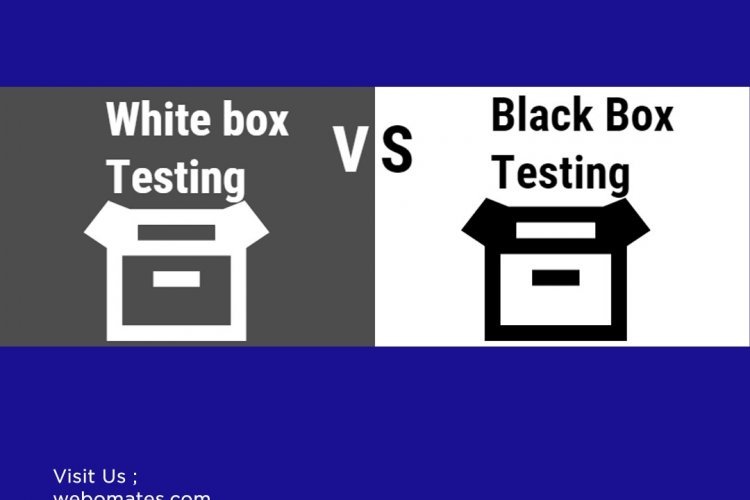 Black box vs white box testing - Africa Voice - Social Network ...